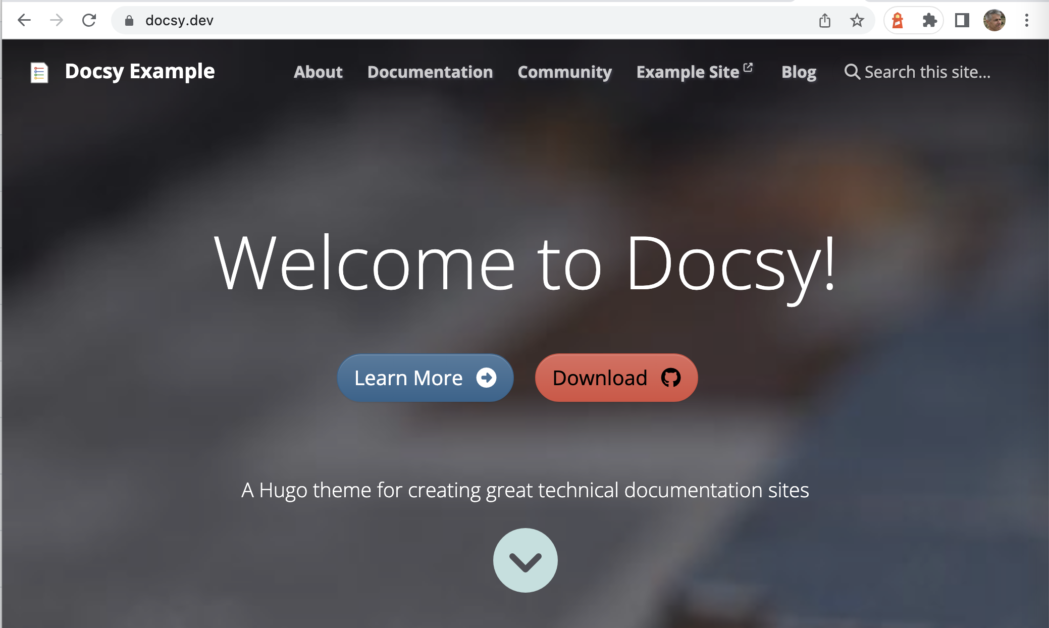 Page ` ` contains "Example" when building under Hugo 0.112.x · Issue #1538 · google/docsy · GitHub