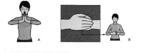 Zen Postures · Issue #542 · anitsh/til · GitHub