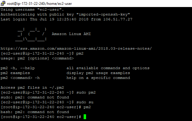 PM2 in AWS Linux · Issue #3808 · Unitech/pm2 · GitHub