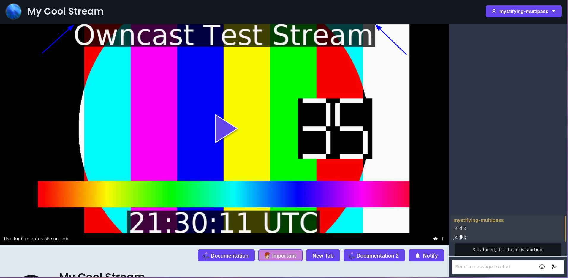 Layout: Player gets cut off vertically on some screens · Issue #2954 · owncast/owncast · GitHub