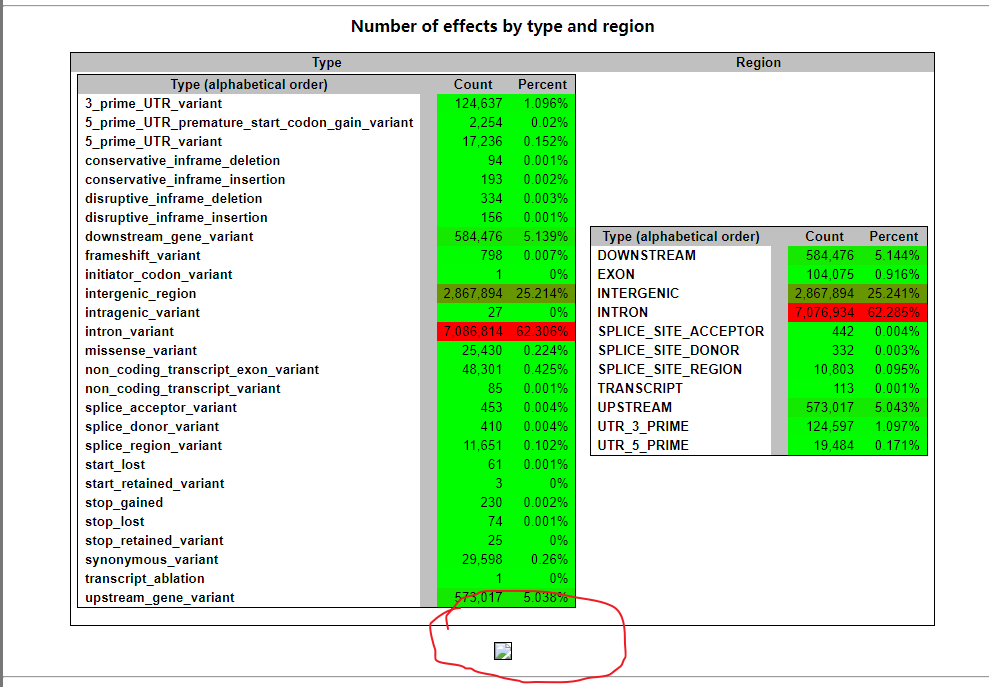 Missing some images in output snpEff_summary.html file. · Issue #375 · pcingola/SnpEff · GitHub