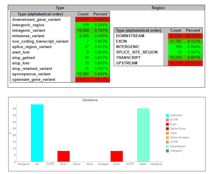 Missing some images in output snpEff_summary.html file. · Issue #375 · pcingola/SnpEff · GitHub