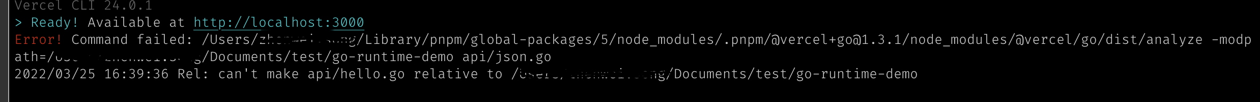 When Using Go Runtime With Vercel Dev Accessing The Api Get An Error 8259