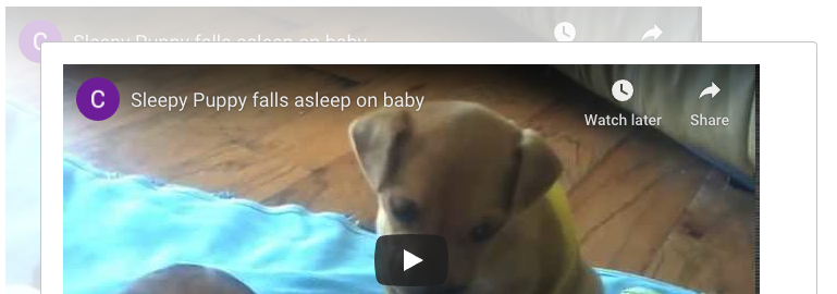 Using "light" prop as a thumbnail that opens video in Modal · Issue #936 · cookpete/react-player ...