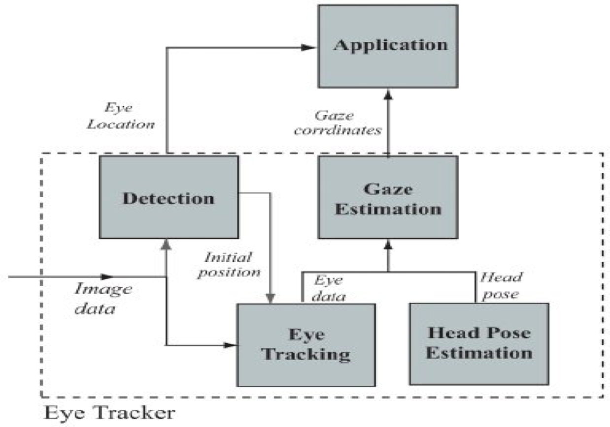 GitHub - Qazzquimby/Eye-Trackin-Gaze-prediction: DeepGaze: ML Powered ...