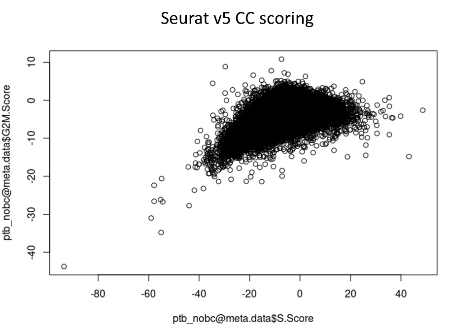 cell cycle scoring very different in Seurat v5 · Issue #7486 ...