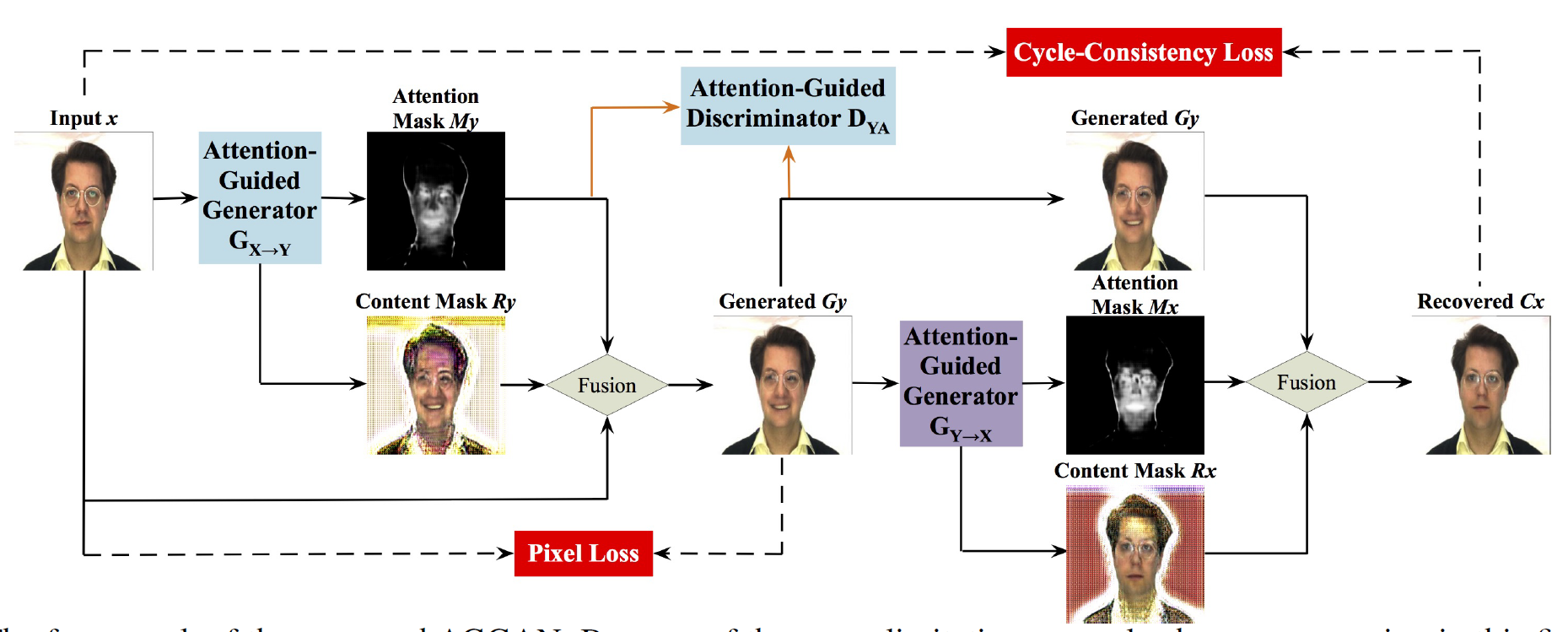 Attention-Guided Generative Adversarial Networks for Unsupervised Image-to-Image Translation ...