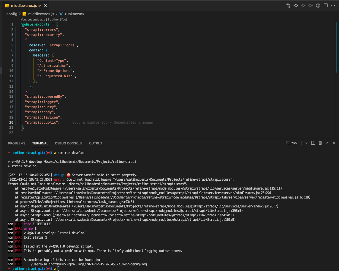 [v4] Unable to Configure CORS Settings · Issue #11900 · strapi/strapi · GitHub