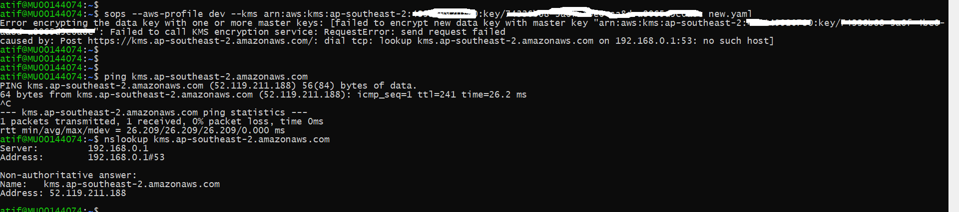 SOPS encrypt/decrypt not working - dns lookup failure · Issue #486 · getsops/sops · GitHub