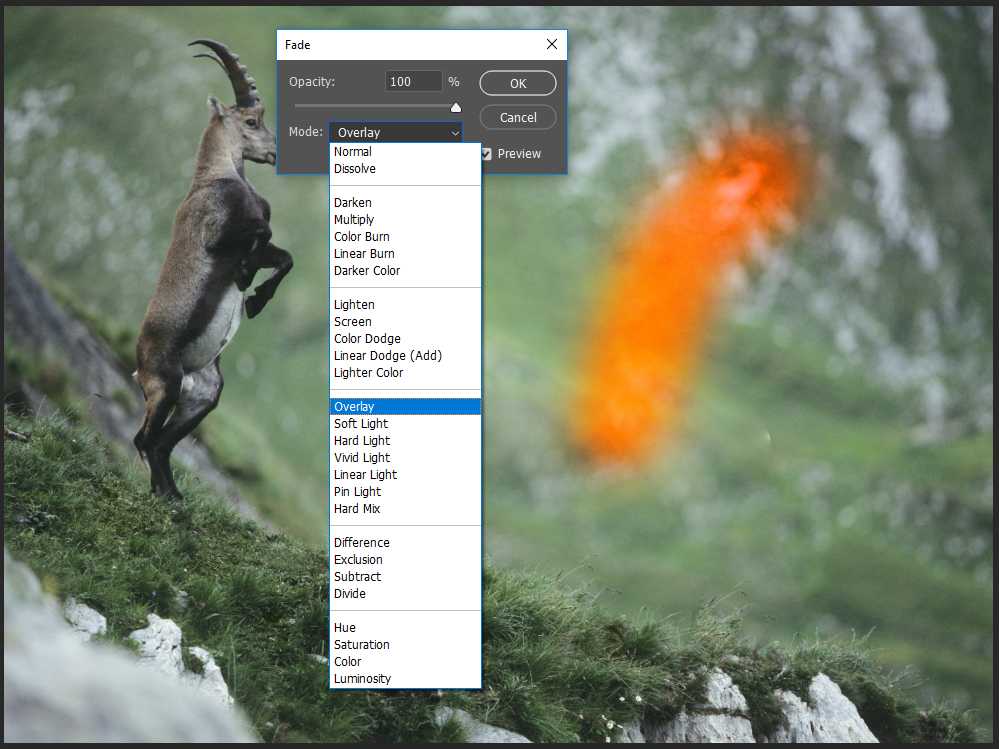 Fade Brush Tool · Issue #1025 · photopea/photopea · GitHub