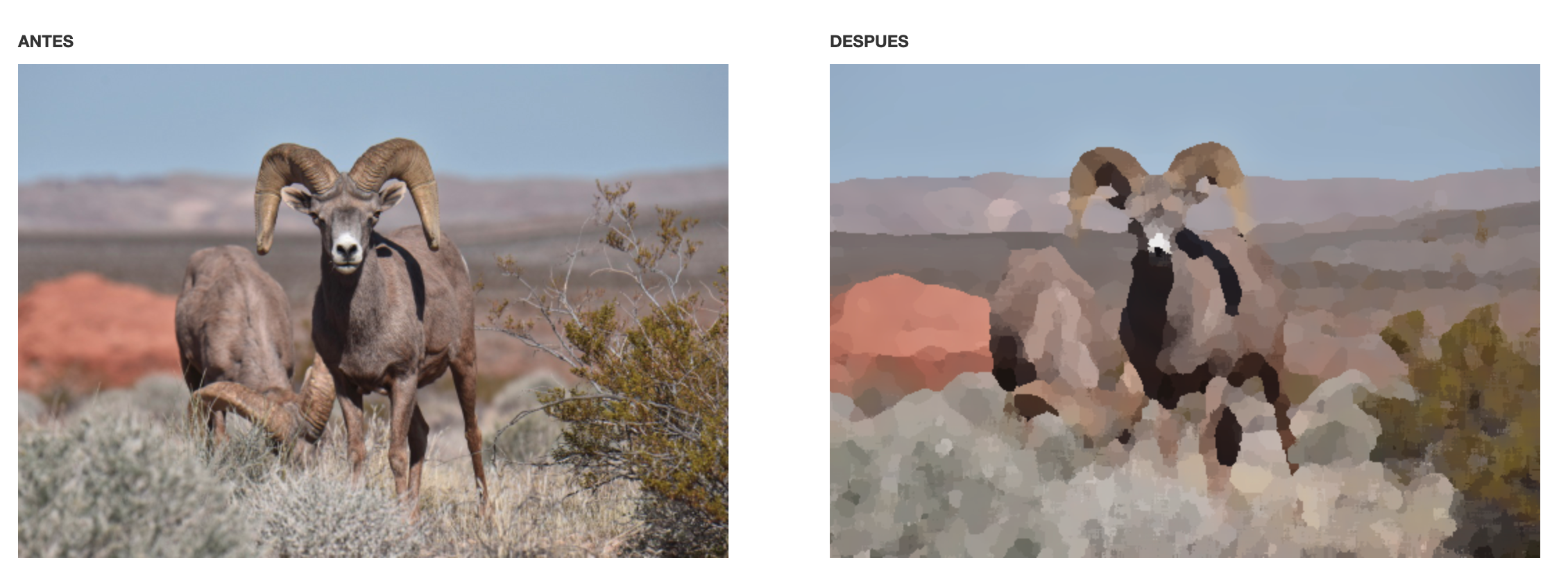 GitHub - josemigueltr/Proceso_Digital_Imagenes: Repositorio ...