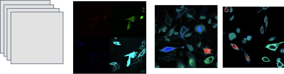 GitHub - nicklutuxun/Unsupervised-Segmentation-and-Labeling-based-on ... GitHub - nicklutuxun/Unsupervised-Segmentation-and-Labeling-based-on ...