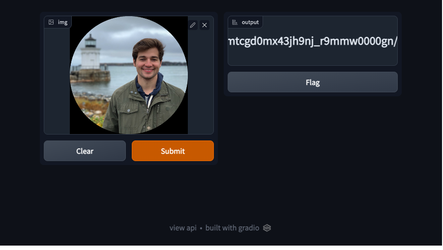 Cant Load Image Classification Model From Hub And Call It From Another Interface · Issue 2080