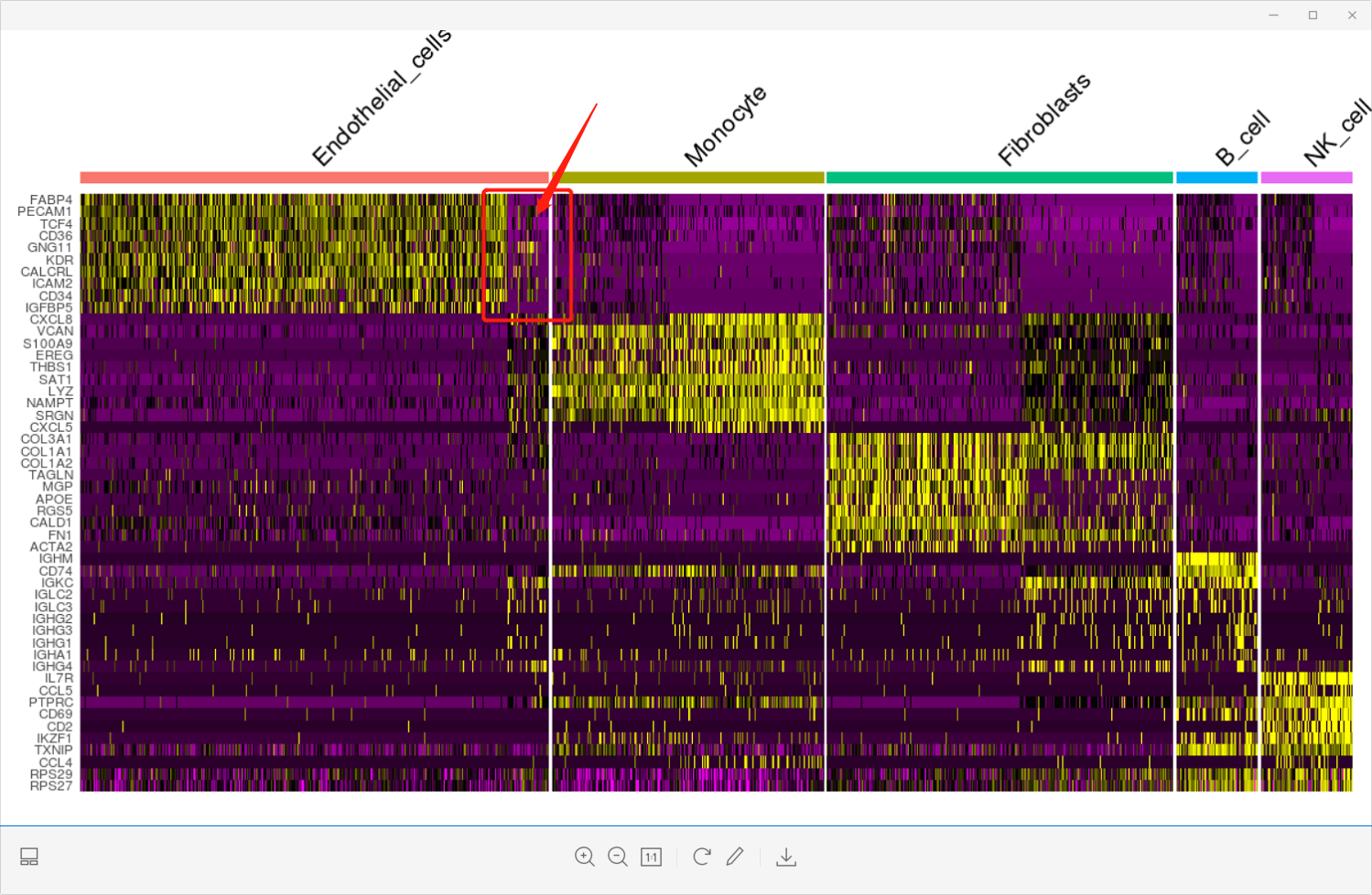 bioinformation issue about doheatmap · Issue #3367 · satijalab/seurat · GitHub