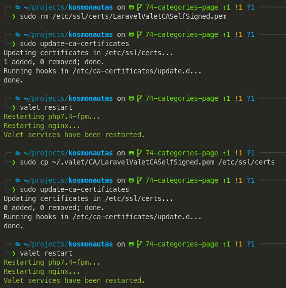 SSL not working on linux ubuntu 20.20 · Issue #306 · cpriego/valet-linux · GitHub