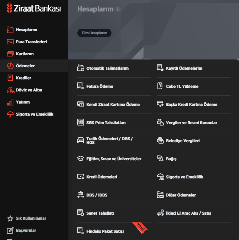 GitHub - mgmetehan/BankOtomasyonu