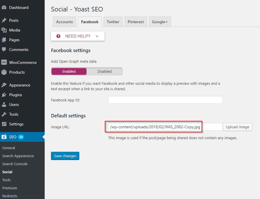 Incorrect og:image for the static homepage, using the default one ...