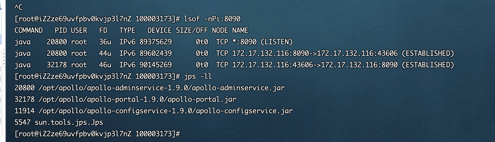 portal 和 config 启动报错 · Issue #3963 · apolloconfig/apollo · GitHub