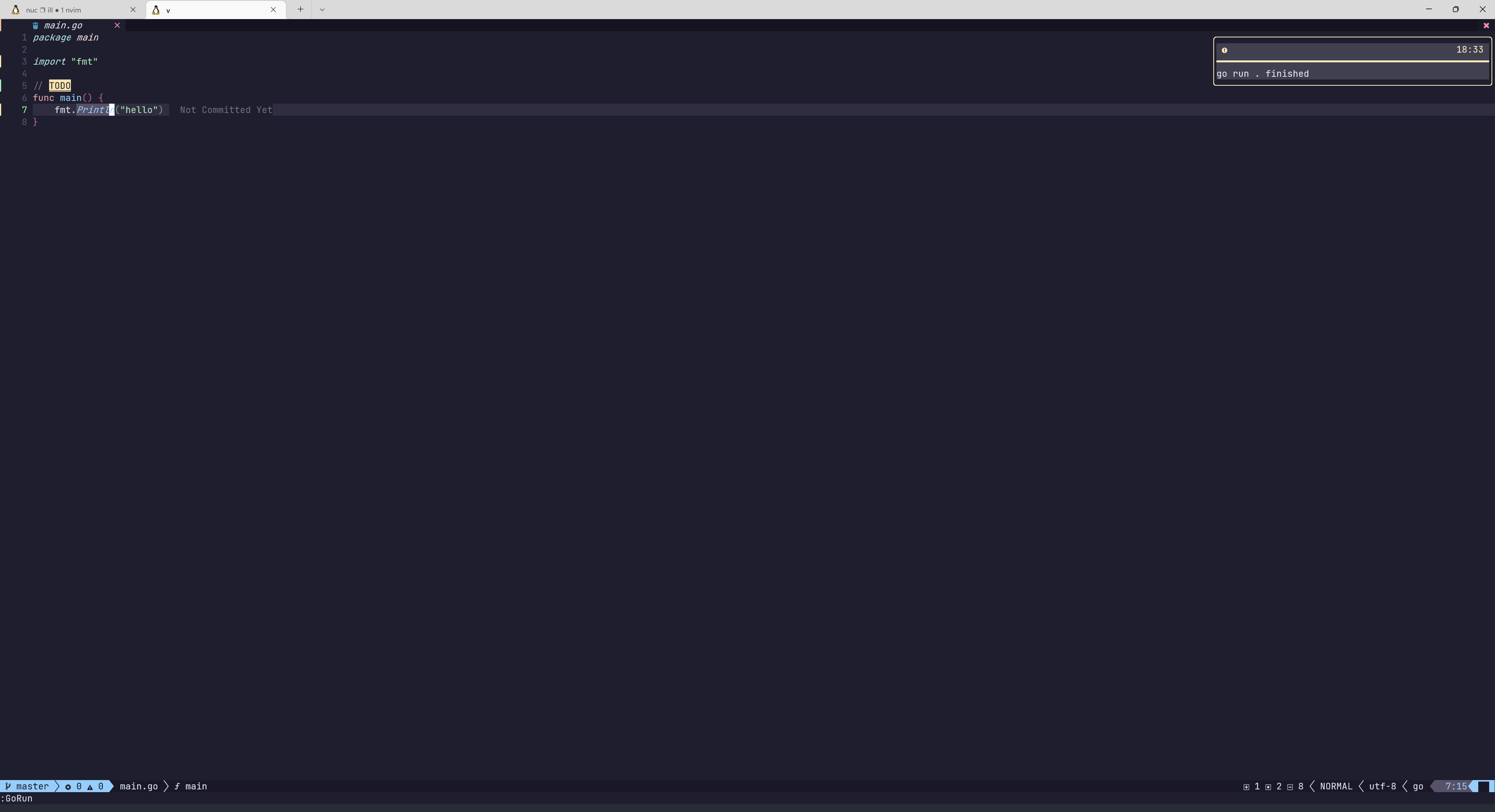 I want to see the print. · Issue #127 · ray-x/go.nvim · GitHub