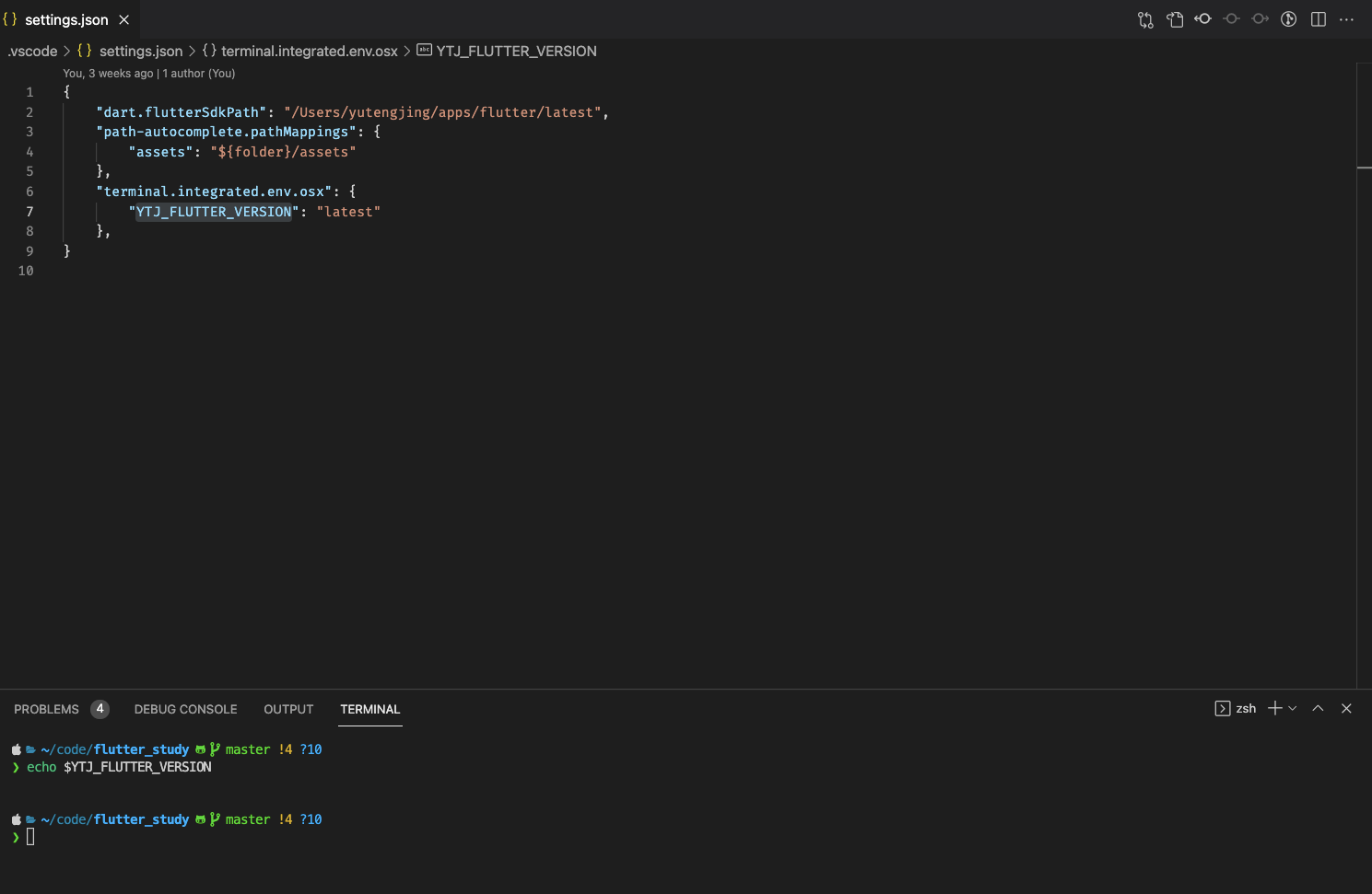 Integrated Terminal environment setting doesn't work · Issue #123433 ...