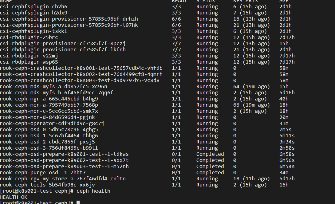 rook-ceph-rgw-ceph-objectstore-a-56997c485f-s266z pod always restart ...