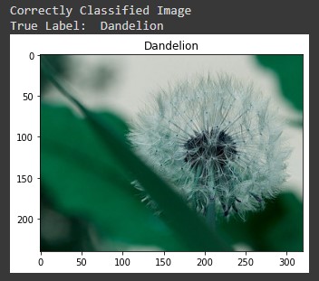 GitHub - athar-usama/bovw: An image classification approach using Bag of Visual Words with SIFT ...