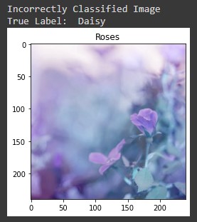 GitHub - athar-usama/bovw: An image classification approach using Bag of Visual Words with SIFT ...