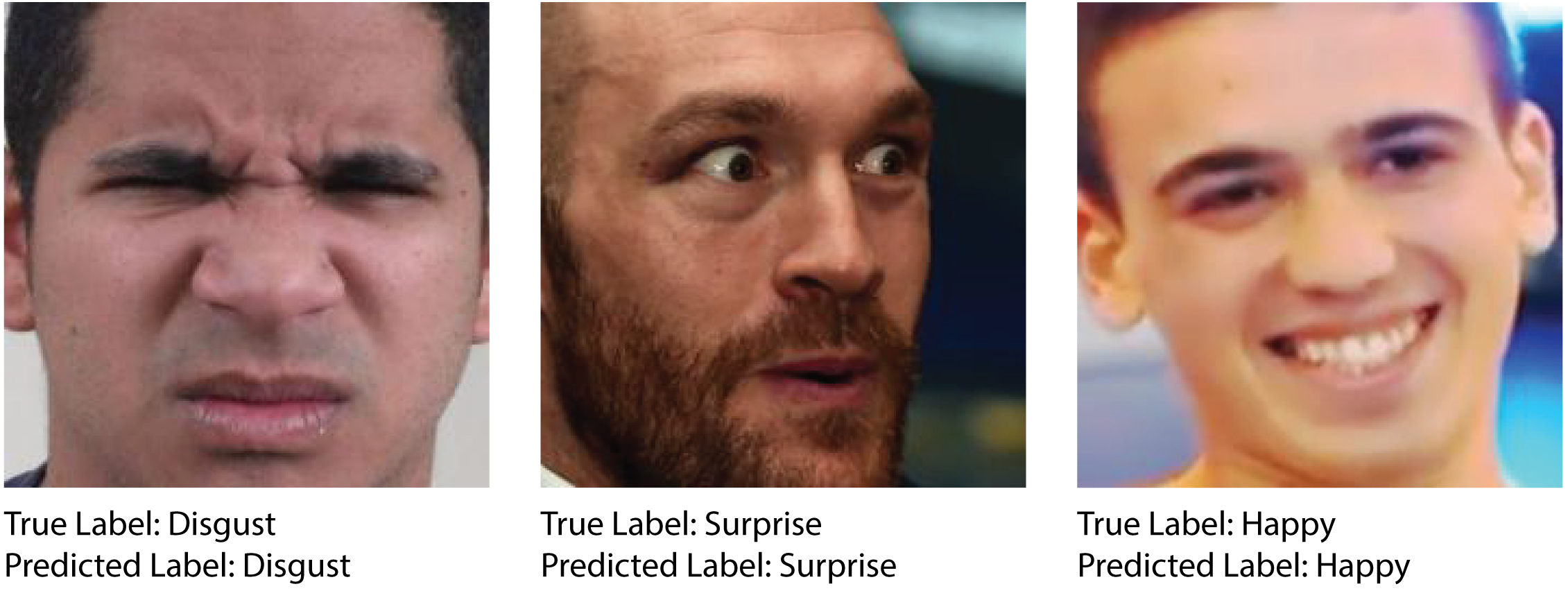 GitHub - athar-usama/affectnet: Facial Expression Recognition and Computing Valence & Arousal ...