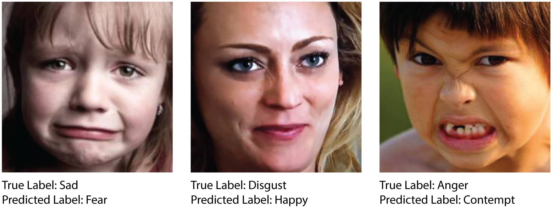 GitHub - athar-usama/affectnet: Facial Expression Recognition and ...