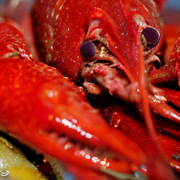 Code for Evaluation Metrics · Issue #8 · facebookresearch/DiT · GitHub