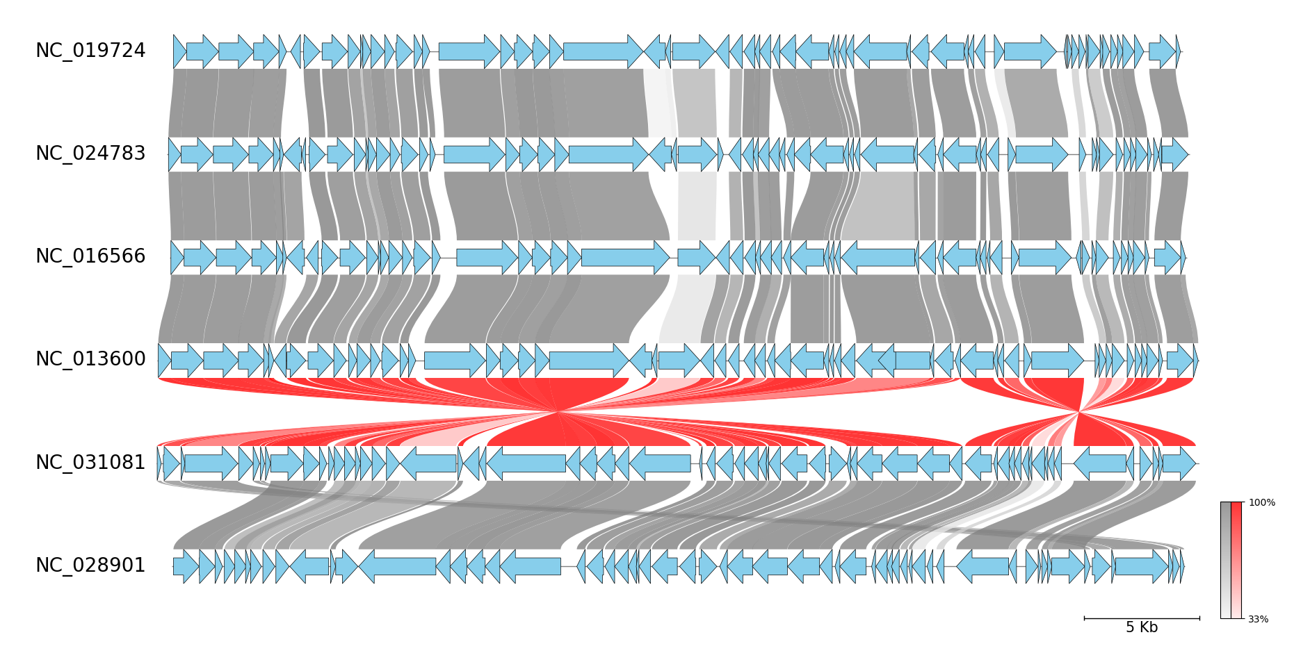 Load custom dataset gbk · Issue #18 · moshi4/pyGenomeViz · GitHub
