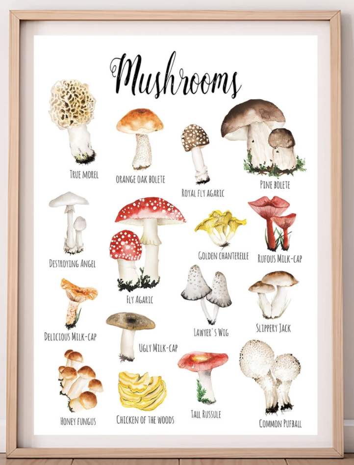 Prints for the stairs and entrance · Issue #188 · dwyl/home · GitHub