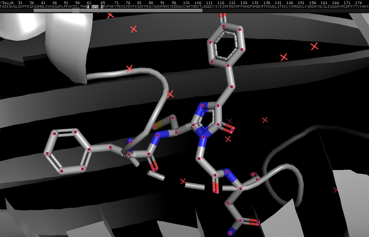 Differences between MSA Query Sequences in RODA/pdb and the RCSB PDB · Issue #238 · aqlaboratory ...