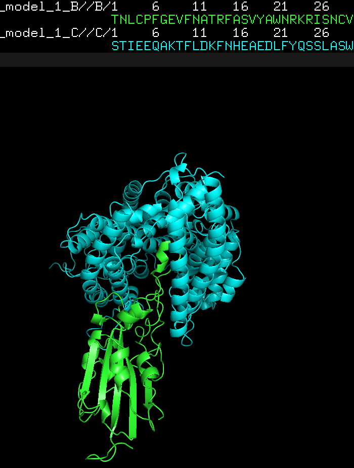 Large chunk of complex gets clipped · Issue #228 · sokrypton/ColabFold ...