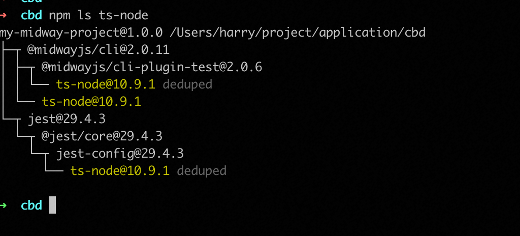 启动报错 · Issue 2775 · Midwayjsmidway · Github