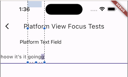 [iOS]After entering text into the iOS 17 text input box, the cursor selects the last character ...