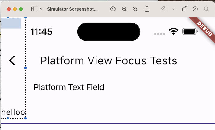 Ios Ios17 Autocorrection The Autocorrection Highlight Shows Up On Top Left Corner · Issue 
