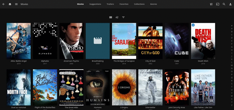 The next page displayed after "Playback Error" is empty / broken ...
