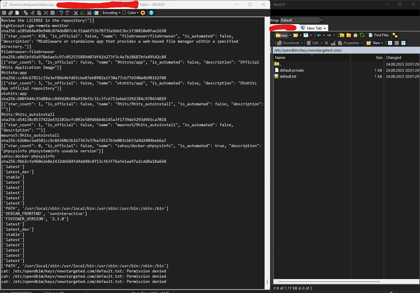[BUG] opendkim Permission denied · Issue #1123 · usmannasir/cyberpanel · GitHub