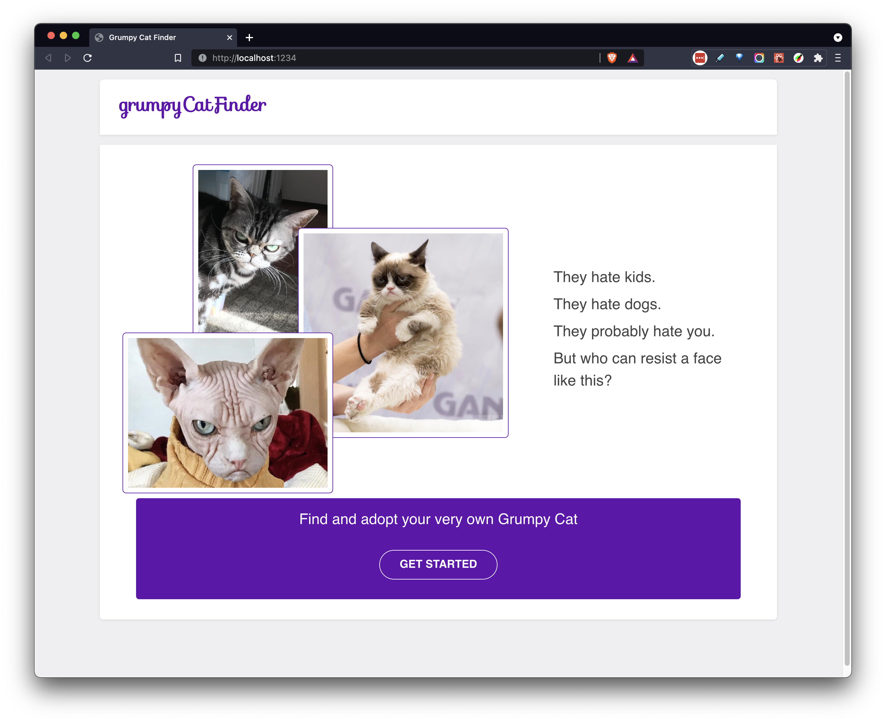 GitHub - justin-anderson-dev/grumpy-pet-finder: A simple React app using the Petfinder public ...