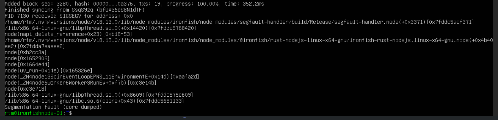 Segmentation fault (core dumped) · Issue #2985 · iron-fish/ironfish · GitHub