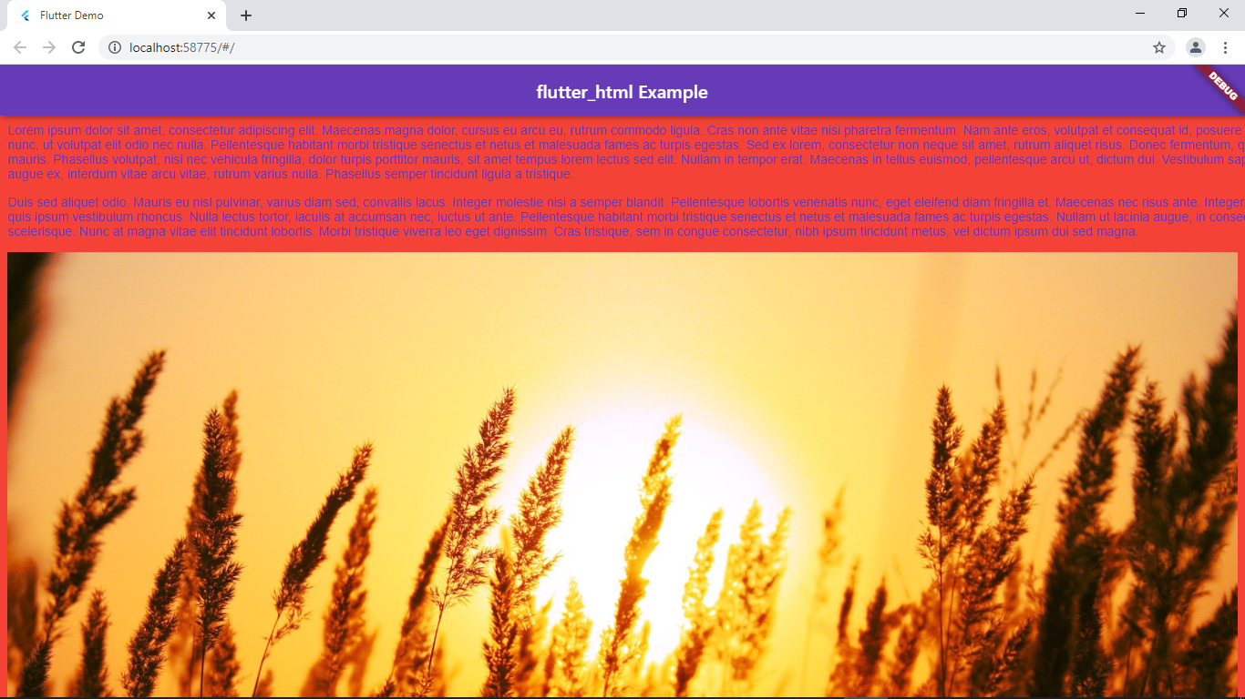 [QUESTION] Content html ignore container size · Issue #681 · Sub6Resources/flutter_html · GitHub