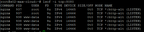 Cannot save file · Issue #1094 · ONLYOFFICE/DocumentServer · GitHub