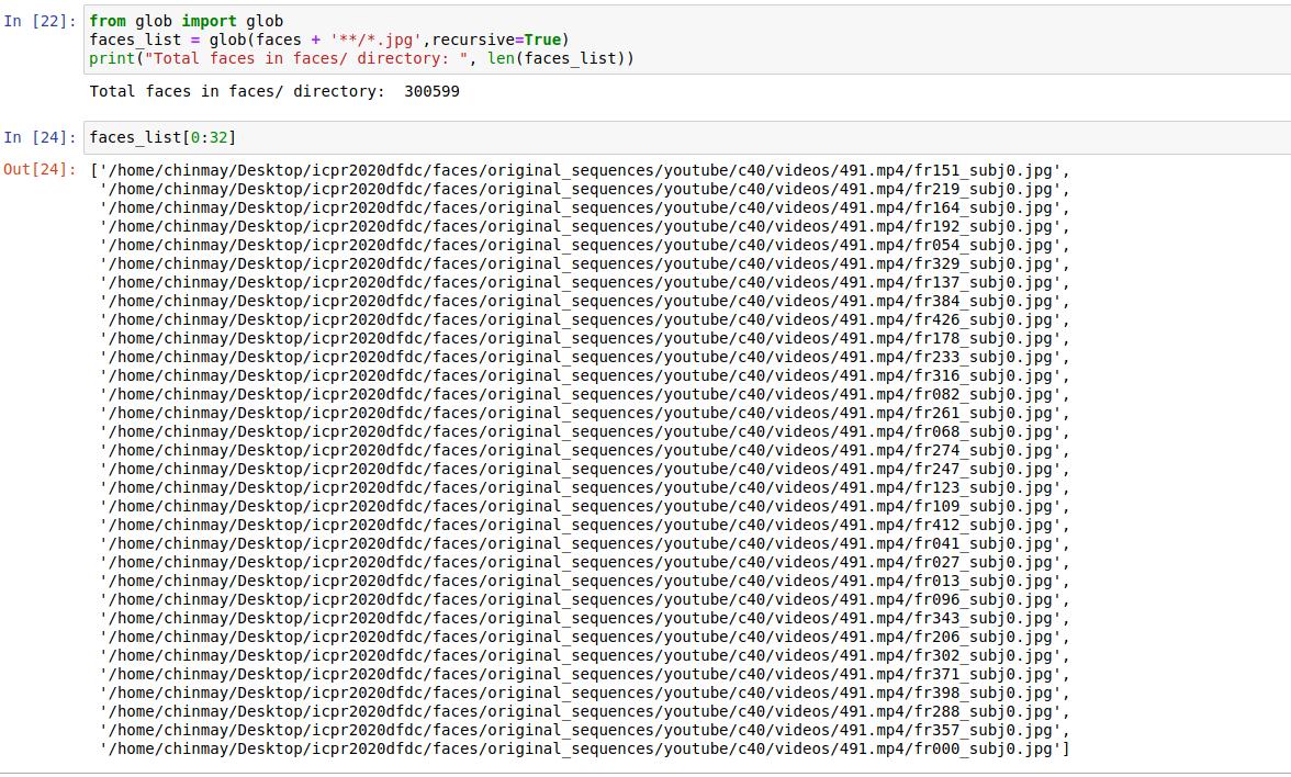 train_triplet.py --train_db --val_db argument value · Issue #28 · polimi-ispl/icpr2020dfdc · GitHub