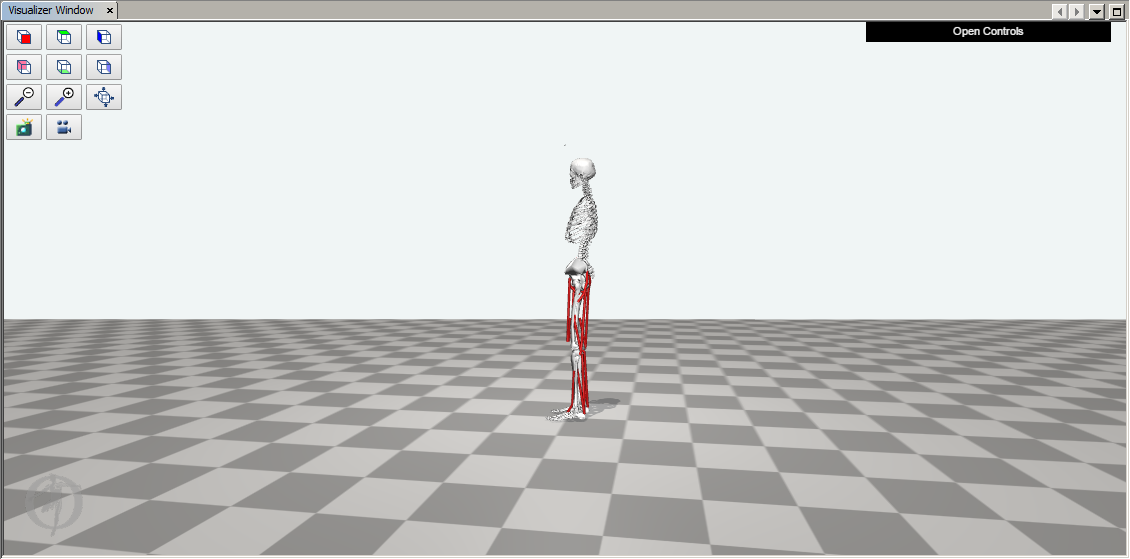 Light is not pointed at model when model is opened · Issue #613 · opensim-org/opensim-gui · GitHub