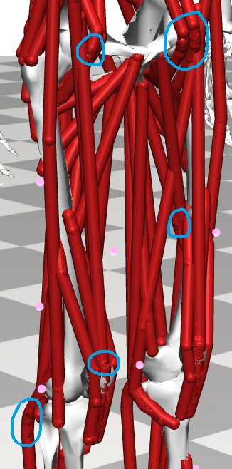 Wrap geometry quadrant display and muscle path around wrap object display unexpected · Issue ...