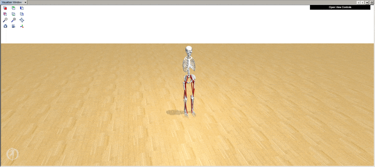 Lighting Is Not Refreshed When Model Is Opened · Issue 822 · Opensim Orgopensim Gui · Github