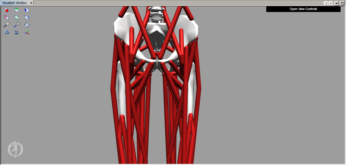 Wheel mouse eventually stops zooming in. After pressing "i", dragging ...