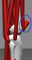 Muscle path visualization can be incorrect, depending on default model pose · Issue #831 ...