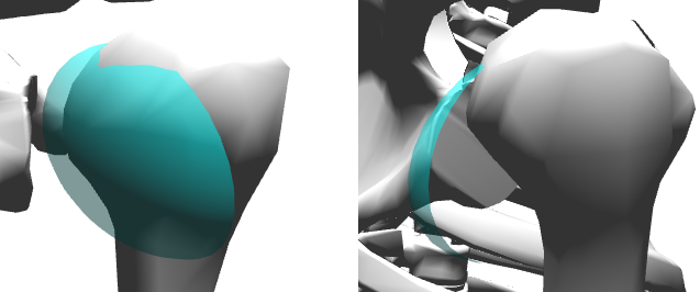 Rendering artifacts in wrap geometry · Issue #352 · opensim-org/opensim ...